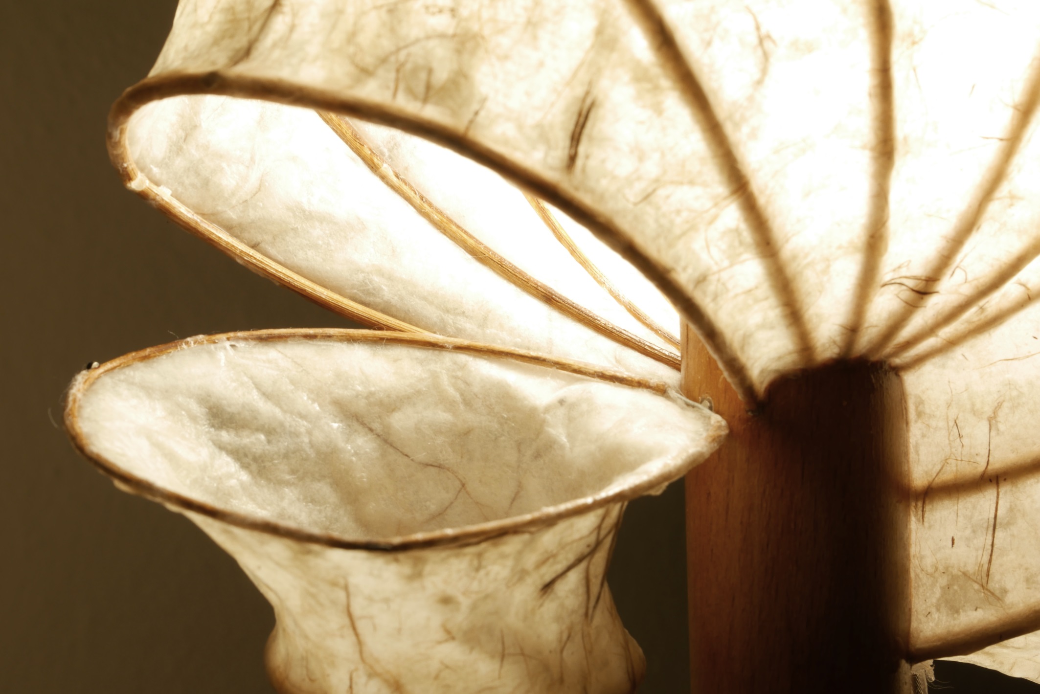 insect_lamp clap – glowingwood.net