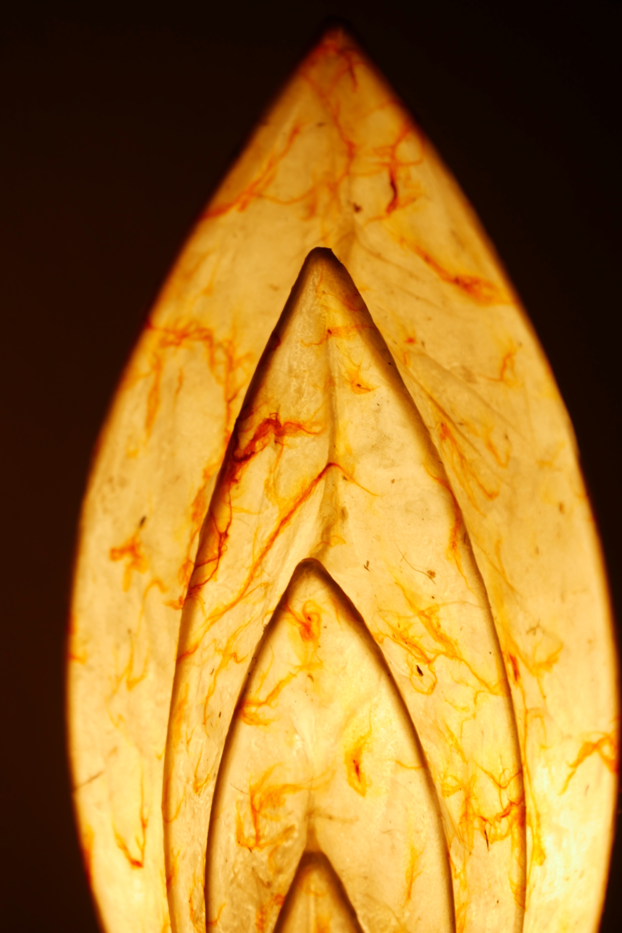 leaf arch – detail – glowingwood.net